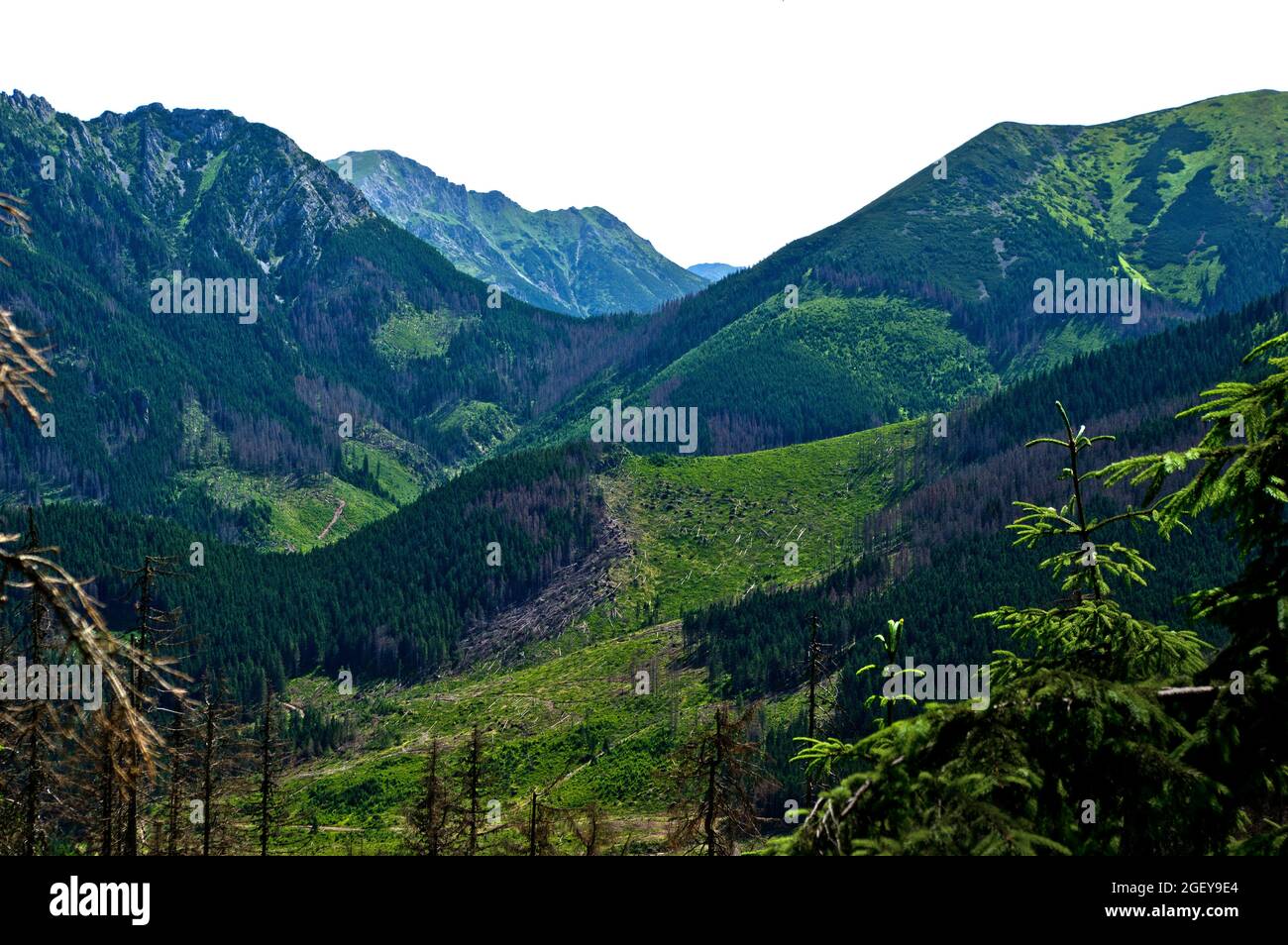 Tatra nature hi-res stock photography and images - Alamy