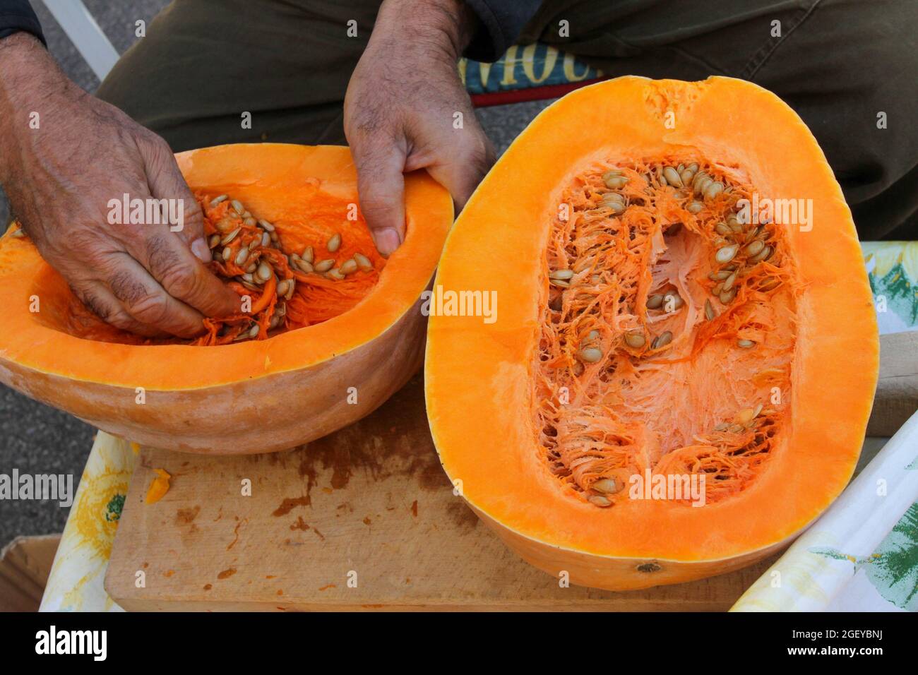 Wrinkled hands scooping out a ripe pumpkin from the seeds Stock Photo ...