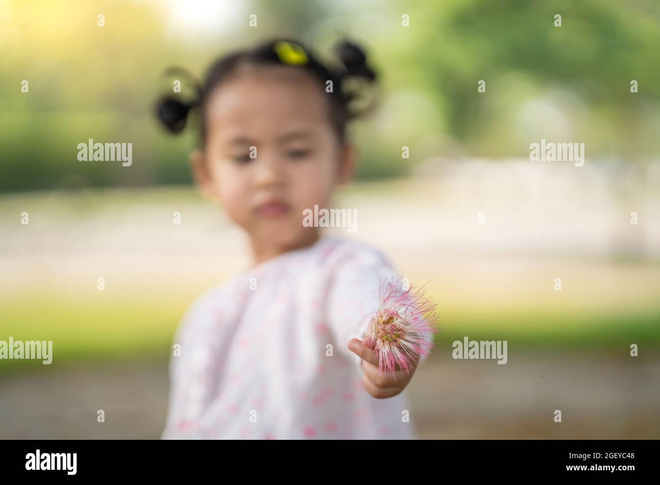 A cute little girl with a pink shirt holding a tropical pink flower in ...