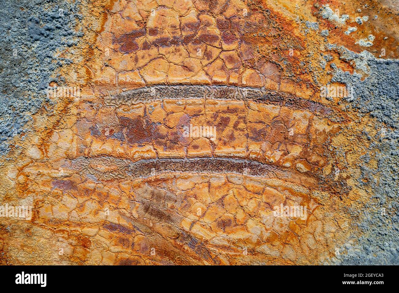Rusty wheel tracks in dried pool mud, colorful texture of abandoned ...