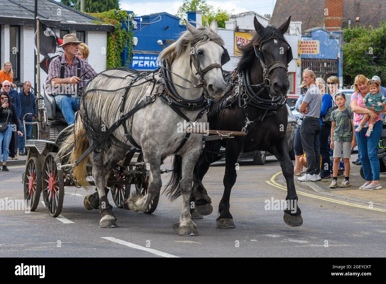 Time test horse hi-res stock photography and images - Alamy