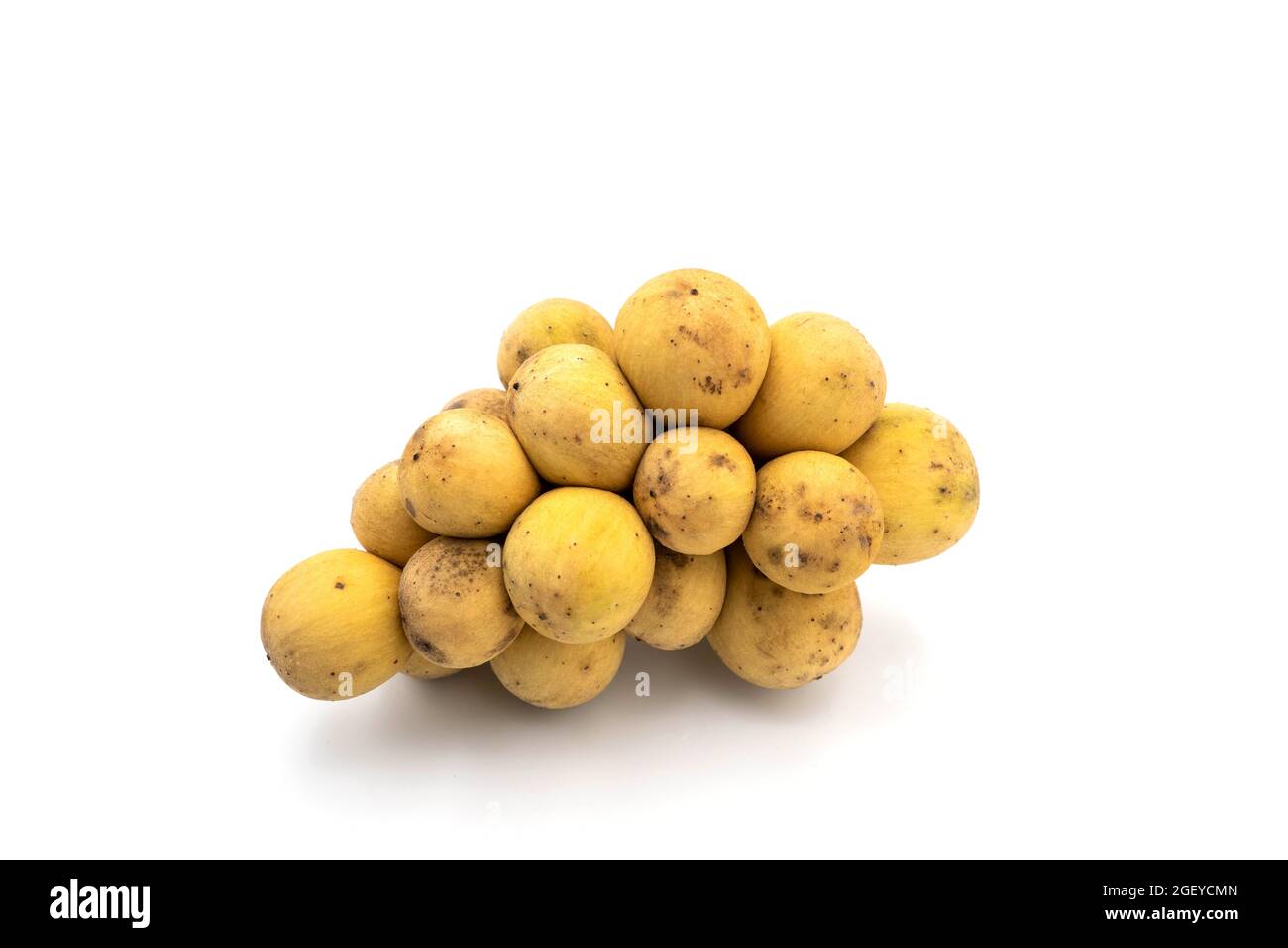 A closeup shot of southern langsat isolated on white background Stock ...