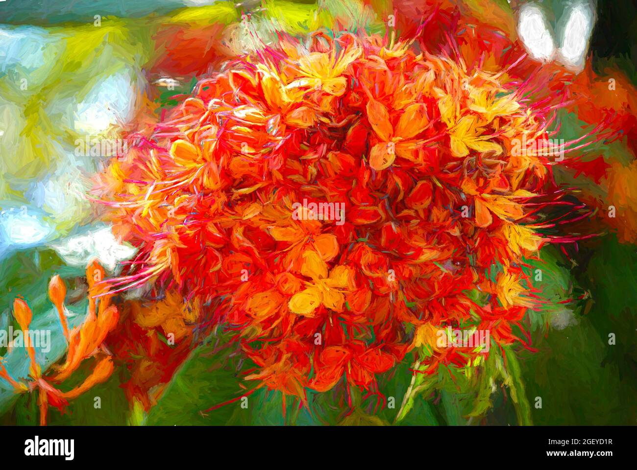 Digital flowers hi-res stock photography and images - Alamy