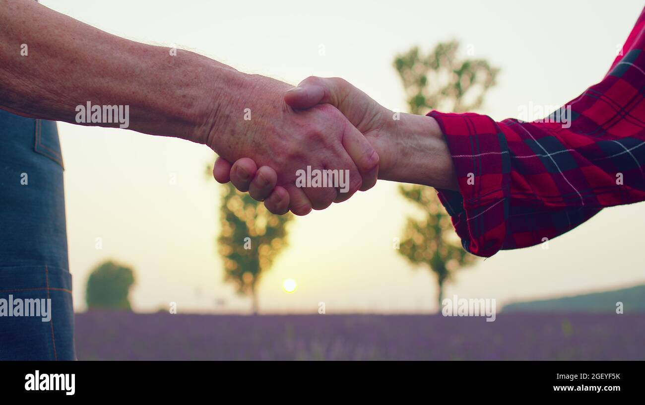 Hands shake between senior grandfather grandmother farmers in blooming ...