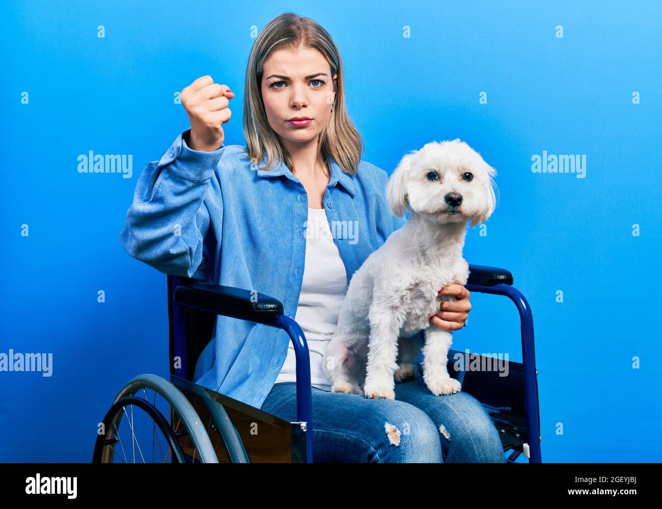 Woman yelling at dog hi-res stock photography and images - Alamy
