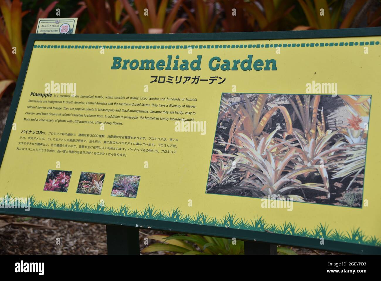 Oahu HI U.S.A. 6/3&6/2021. Dole Plantation. Gardens. Pineapple Express ...