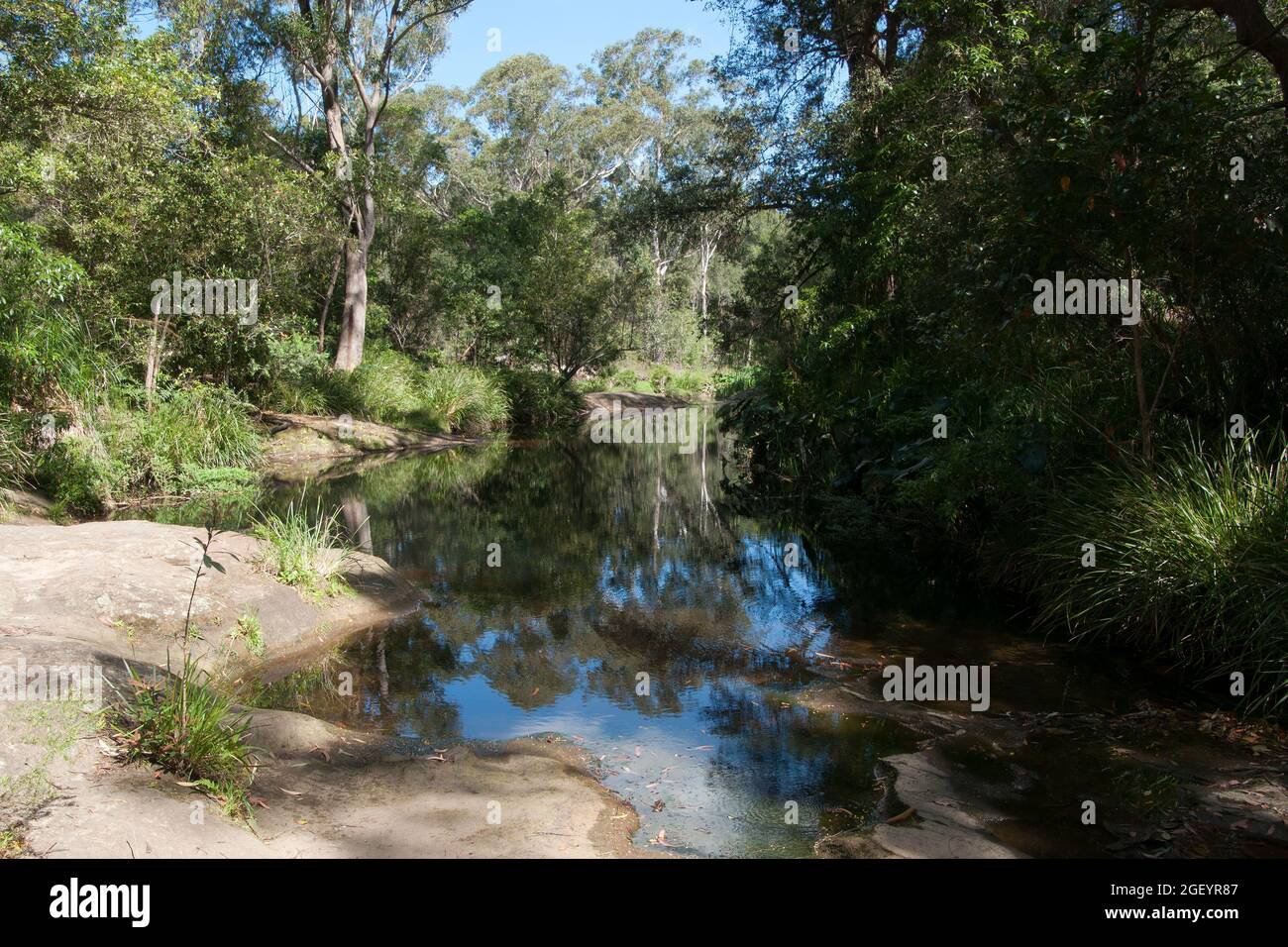 Sydney Australia, view of bushland along river in the public Lake ...
