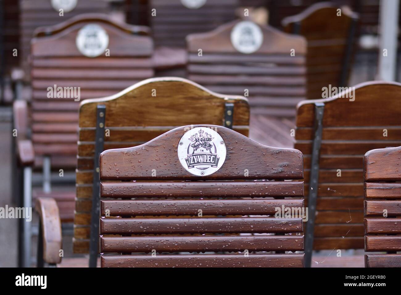 Zywiec branded chairs in a beer garden on a rainy day Stock Photo - Alamy