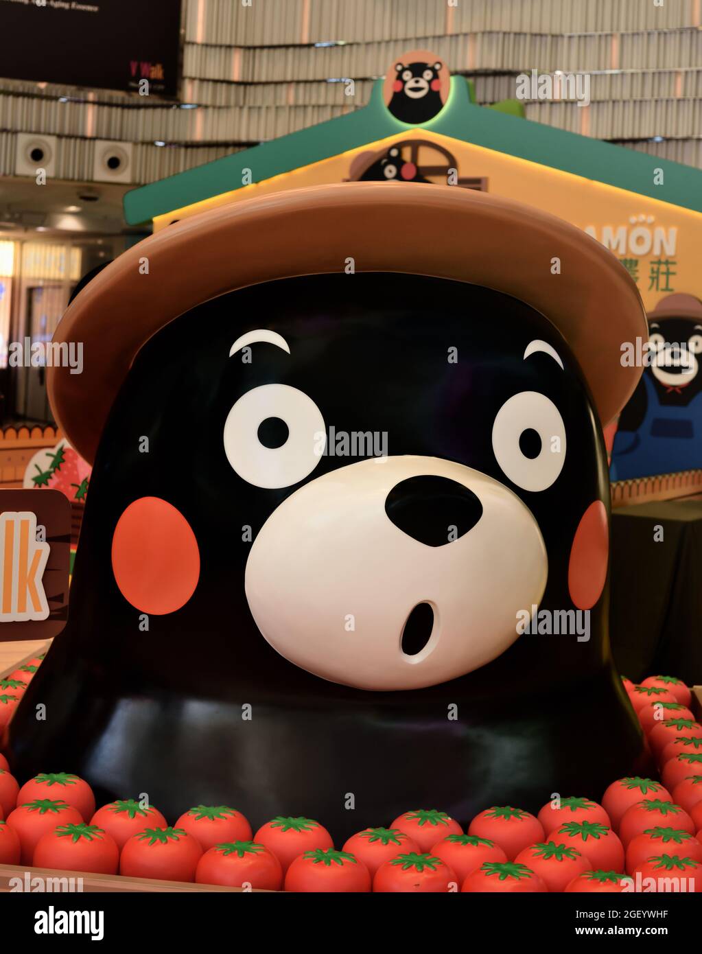 Kumamon Mascot