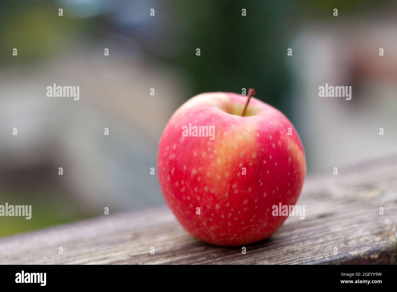 A red ripe apple on a wooden railing Stock Photo - Alamy