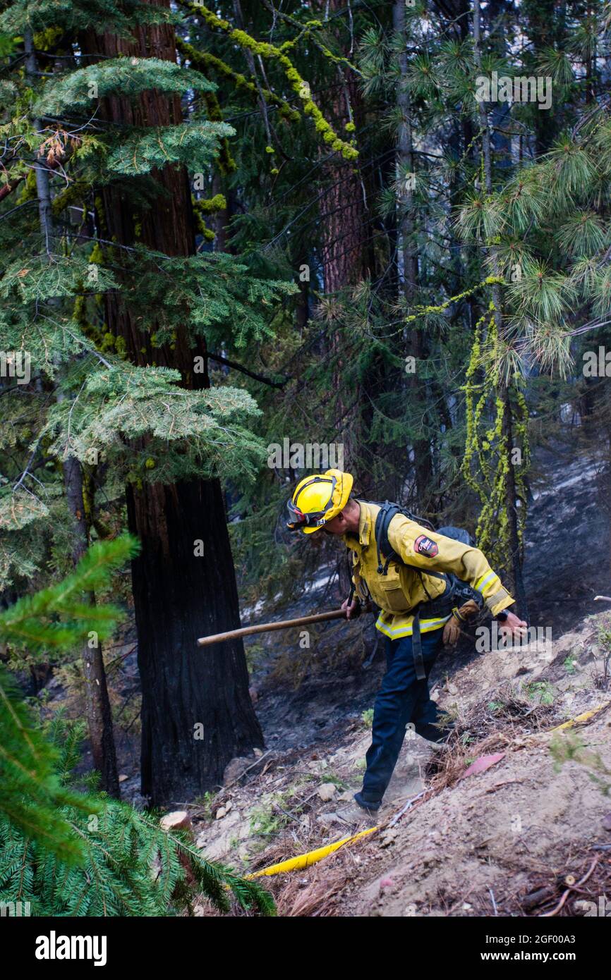 Fire crews work in steep terrain on the Dixie fire. The Dixie fire ...