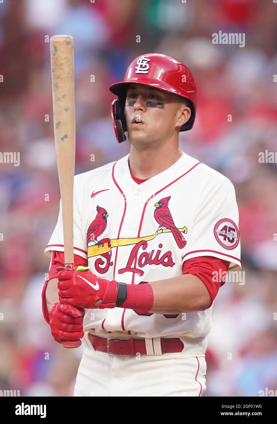 Lars nootbaar st louis cardinals hi-res stock photography and images ...