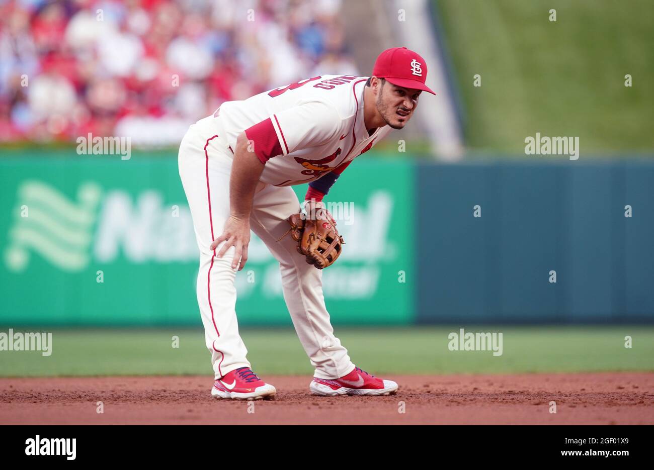 St. Louis Cardinals third baseman Nolan Arenado looks for the signal ...