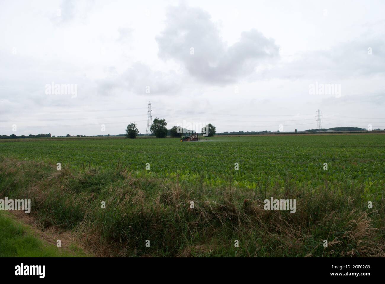 Tractor spraying crop filled field with trees and pylons Stock Photo ...