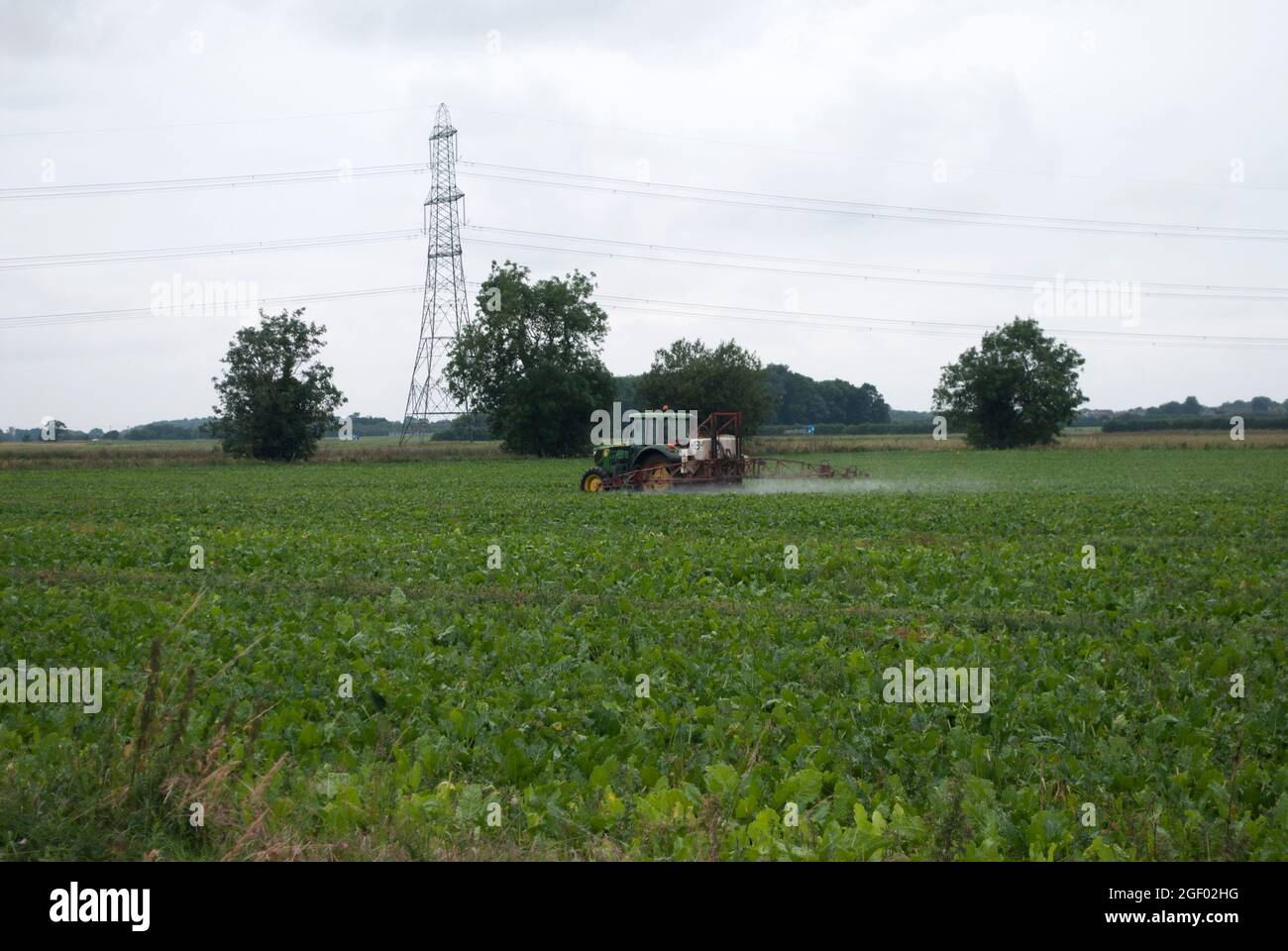 Tractor spraying crop filled field with trees and pylons Stock Photo ...