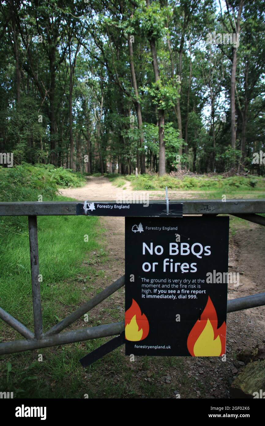 forest fire warning sign Stock Photo - Alamy