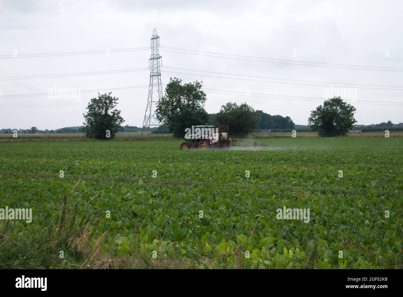 Tractor spraying crop filled field with trees and pylons Stock Photo ...
