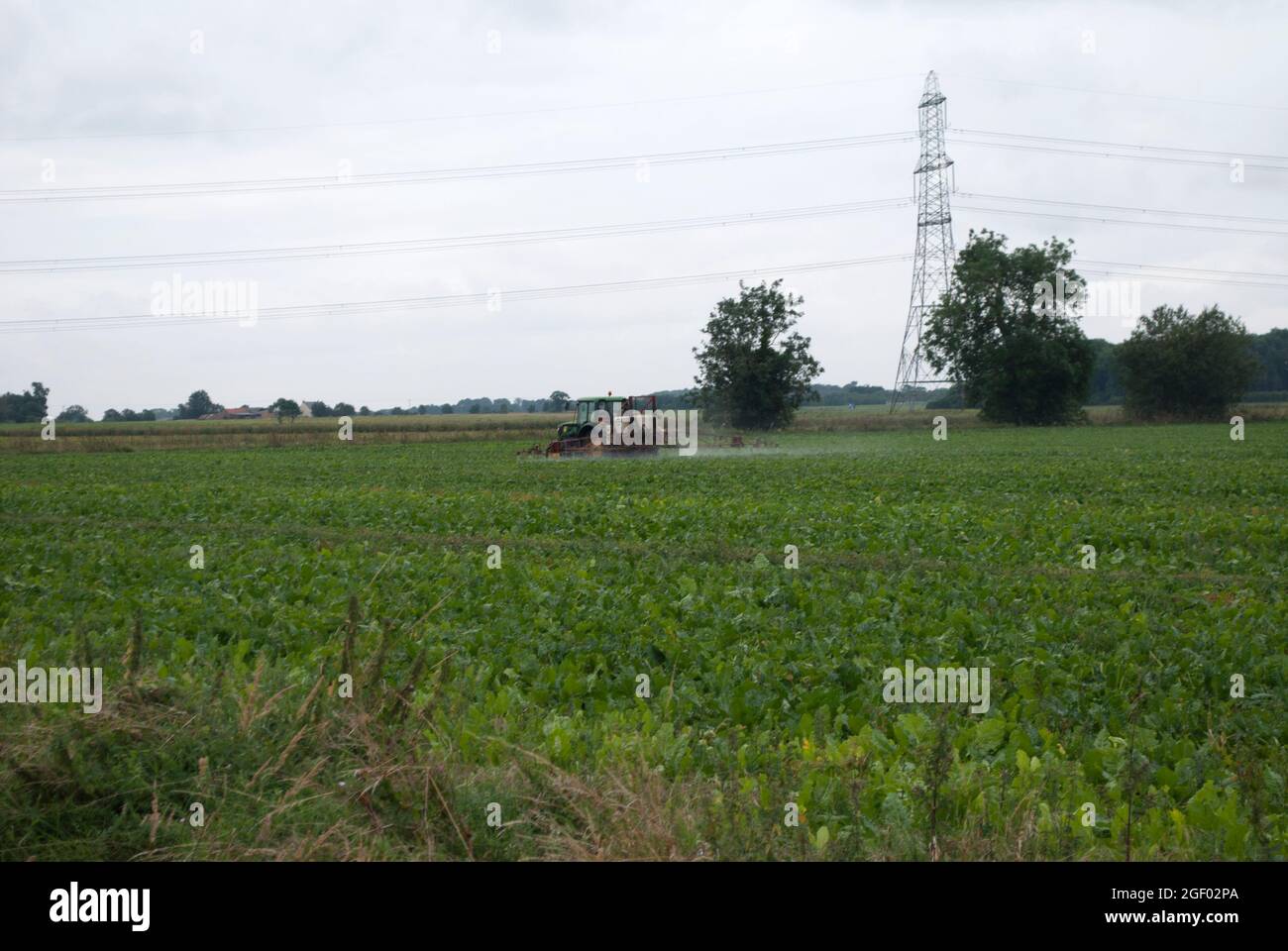 Tractor spraying crop filled field with trees and pylons Stock Photo ...
