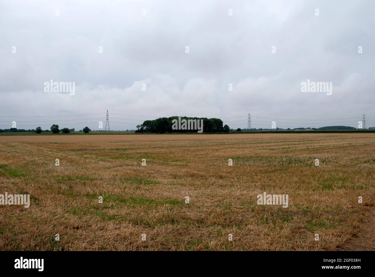 Woods underneath a gloomy grey sky behind a stubble filled field Stock ...