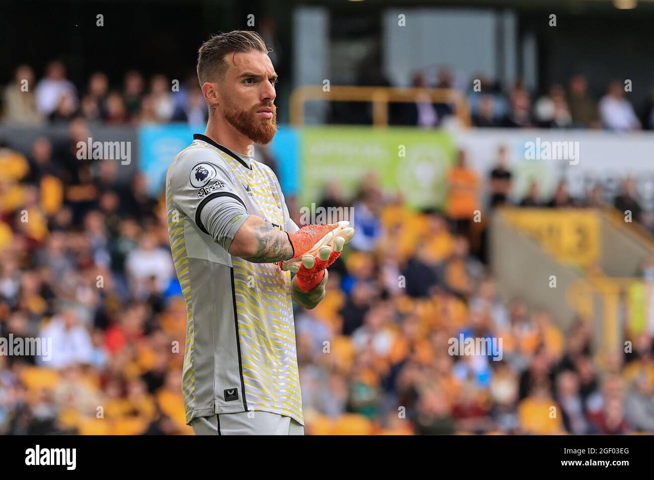Jose sa wolves hi-res stock photography and images - Alamy