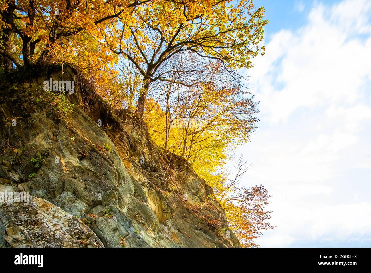 Yellow autumn forest with trees on high rocky mountain side Stock Photo ...
