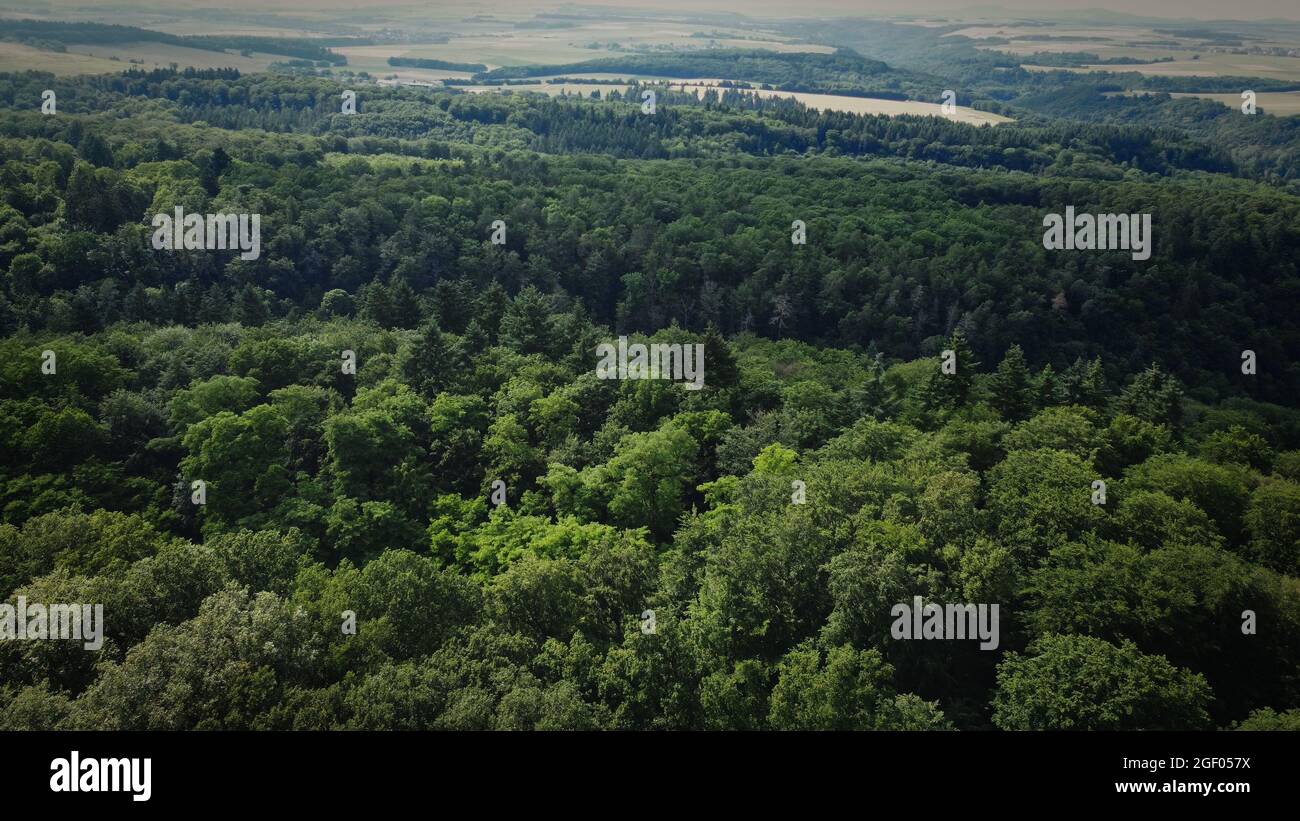 Dense forest from above - wonderful nature Stock Photo - Alamy