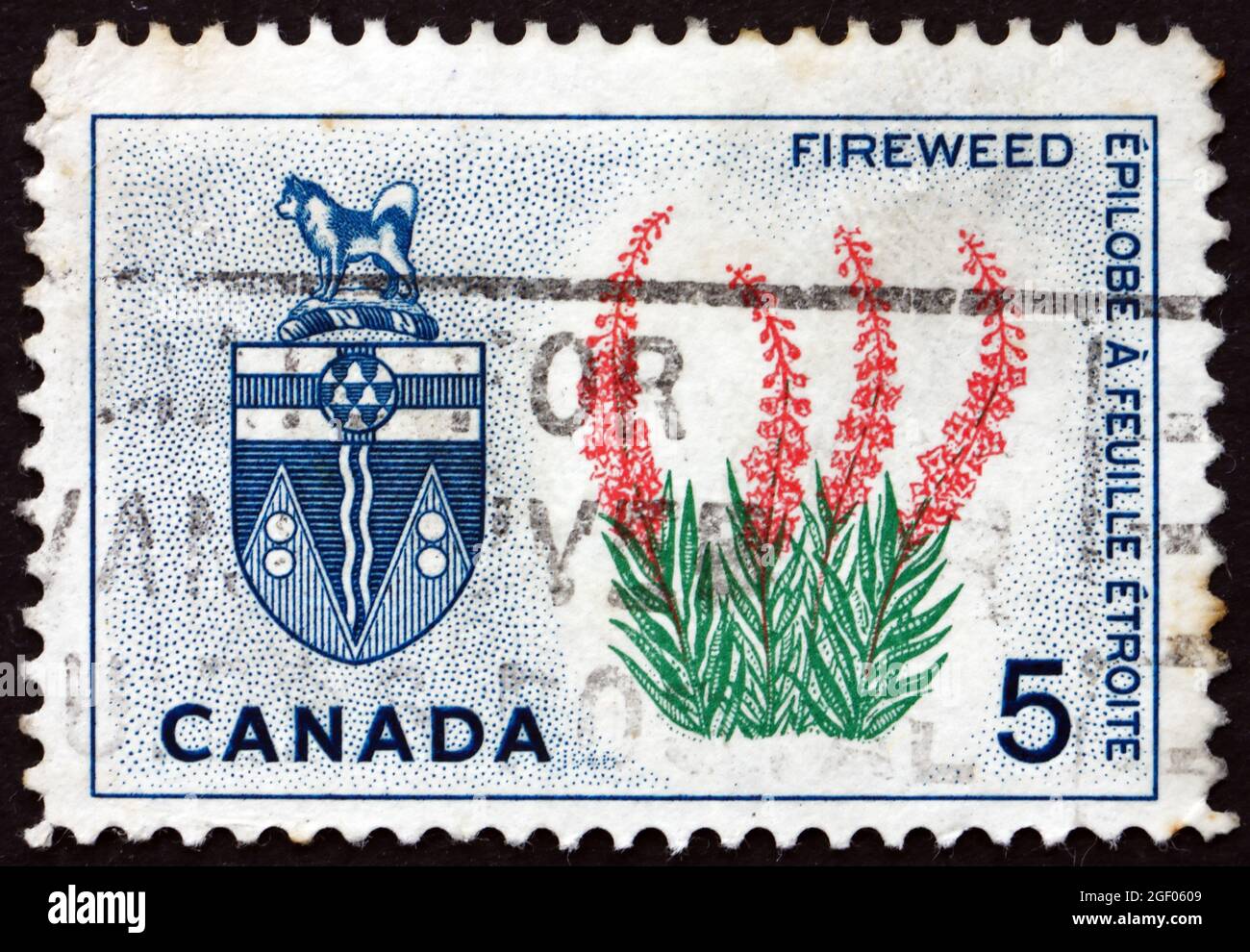 CANADA - CIRCA 1966: a stamp printed in the Canada shows Fireweed and ...