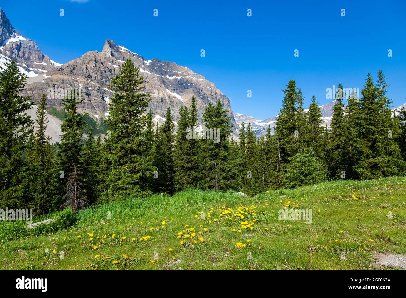 View of snow clad mountains in the Banff National Park region of ...