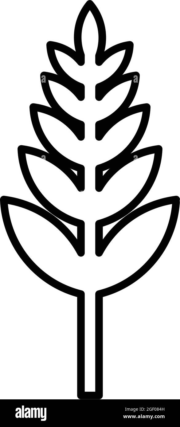 Developing seed Black and White Stock Photos & Images - Alamy