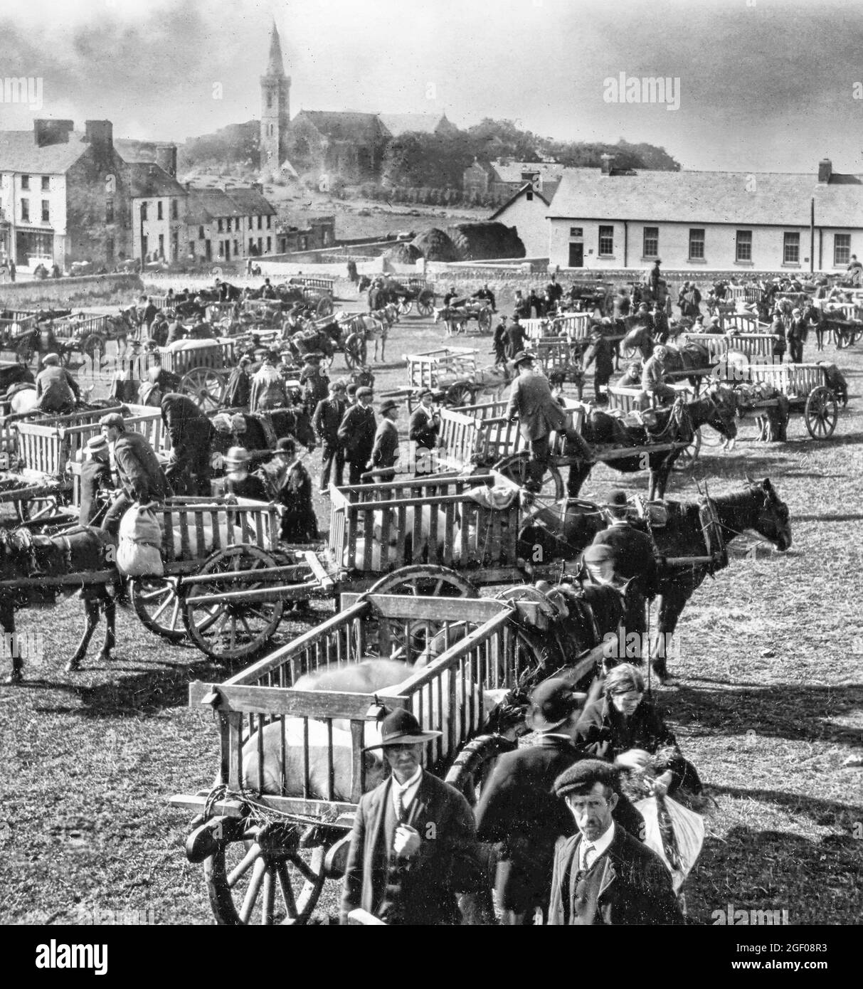 Pig in cart hi-res stock photography and images - Alamy