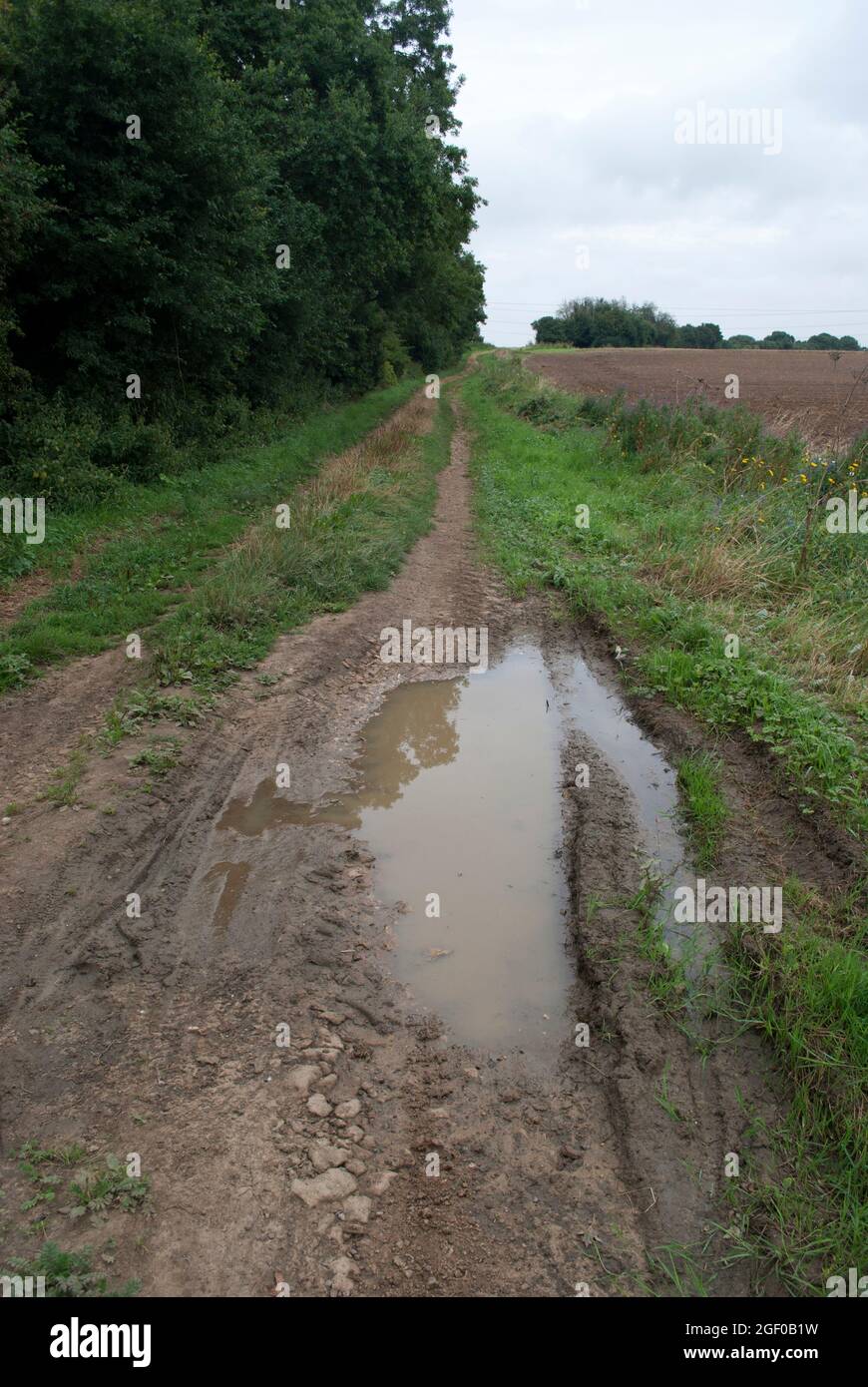 Puddle filled path hi-res stock photography and images - Alamy