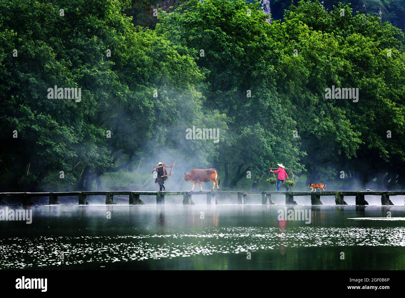 Jinyun county of the mountain Stock Photo - Alamy