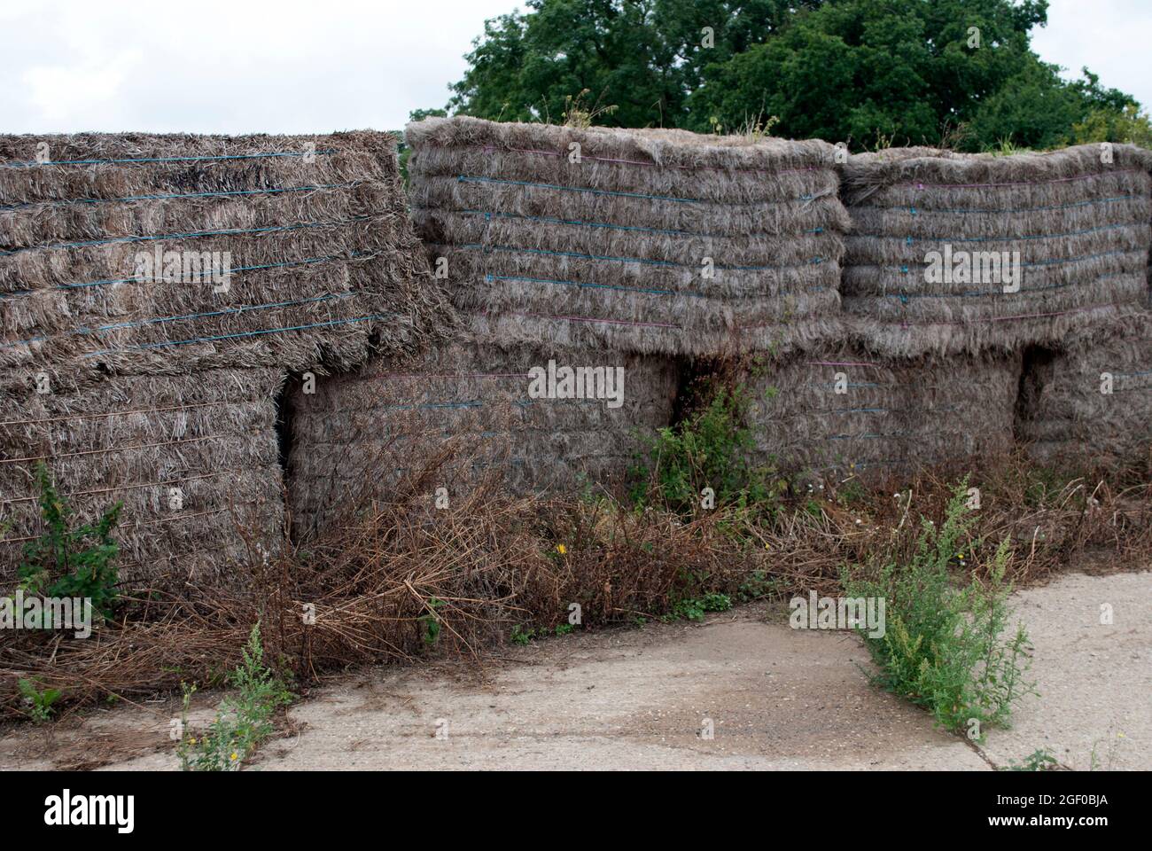 Wall of old straw bales with weeds and concrete in front Stock Photo ...