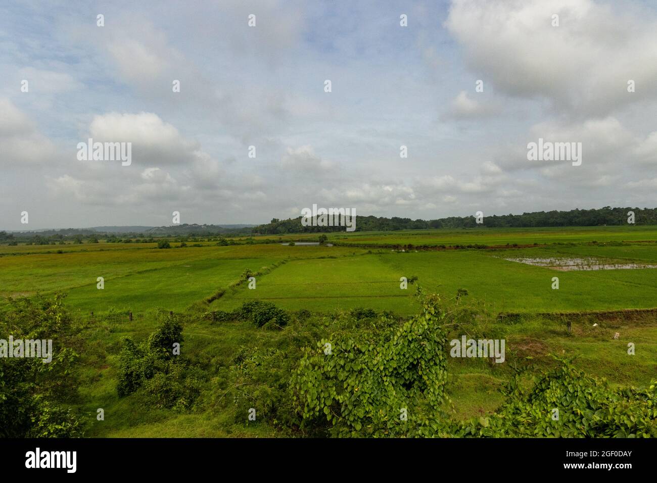 Beautiful green landscape as seen from train while travelling on Konkan ...