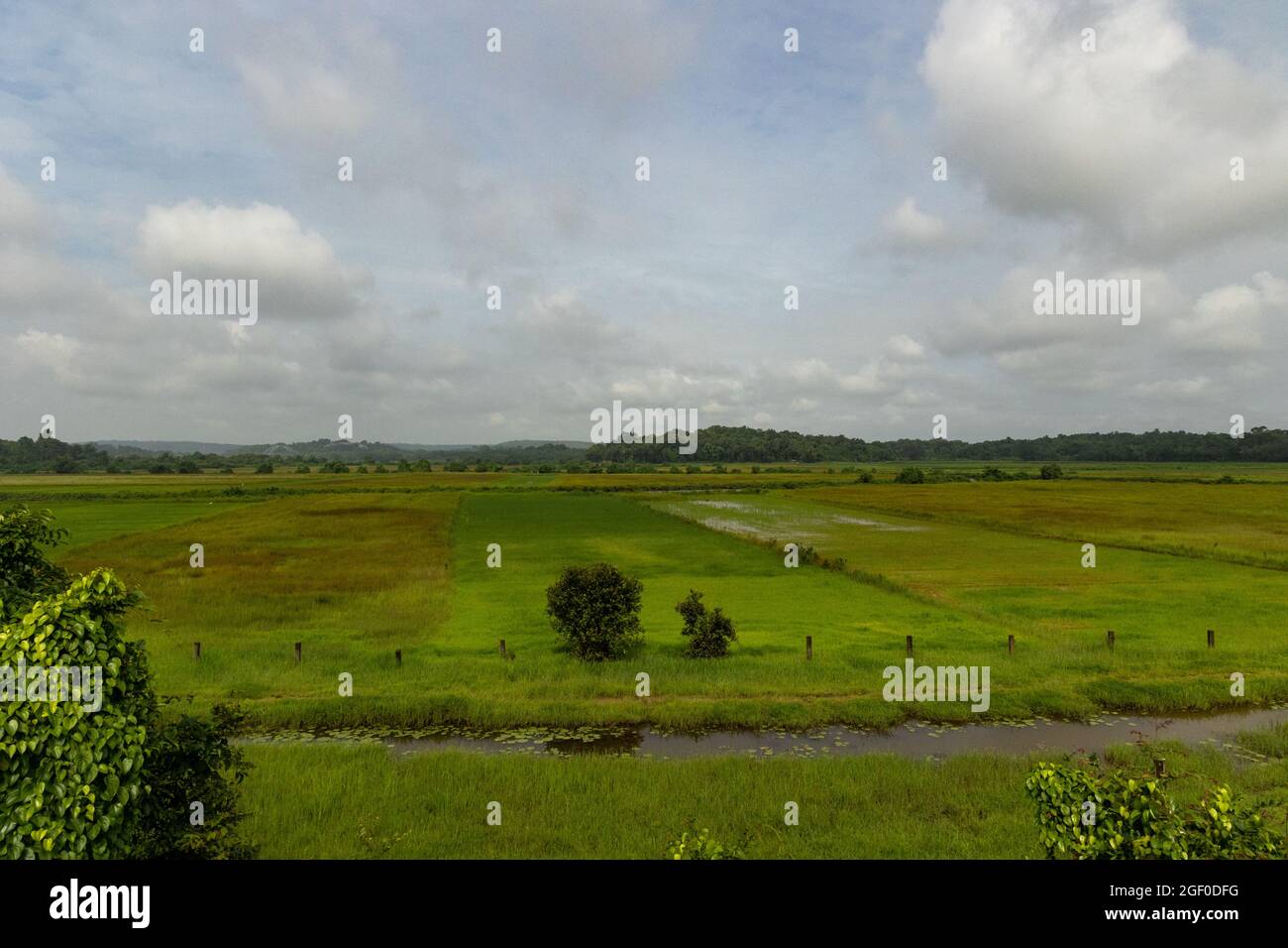 Beautiful green landscape as seen from train while travelling on Konkan ...