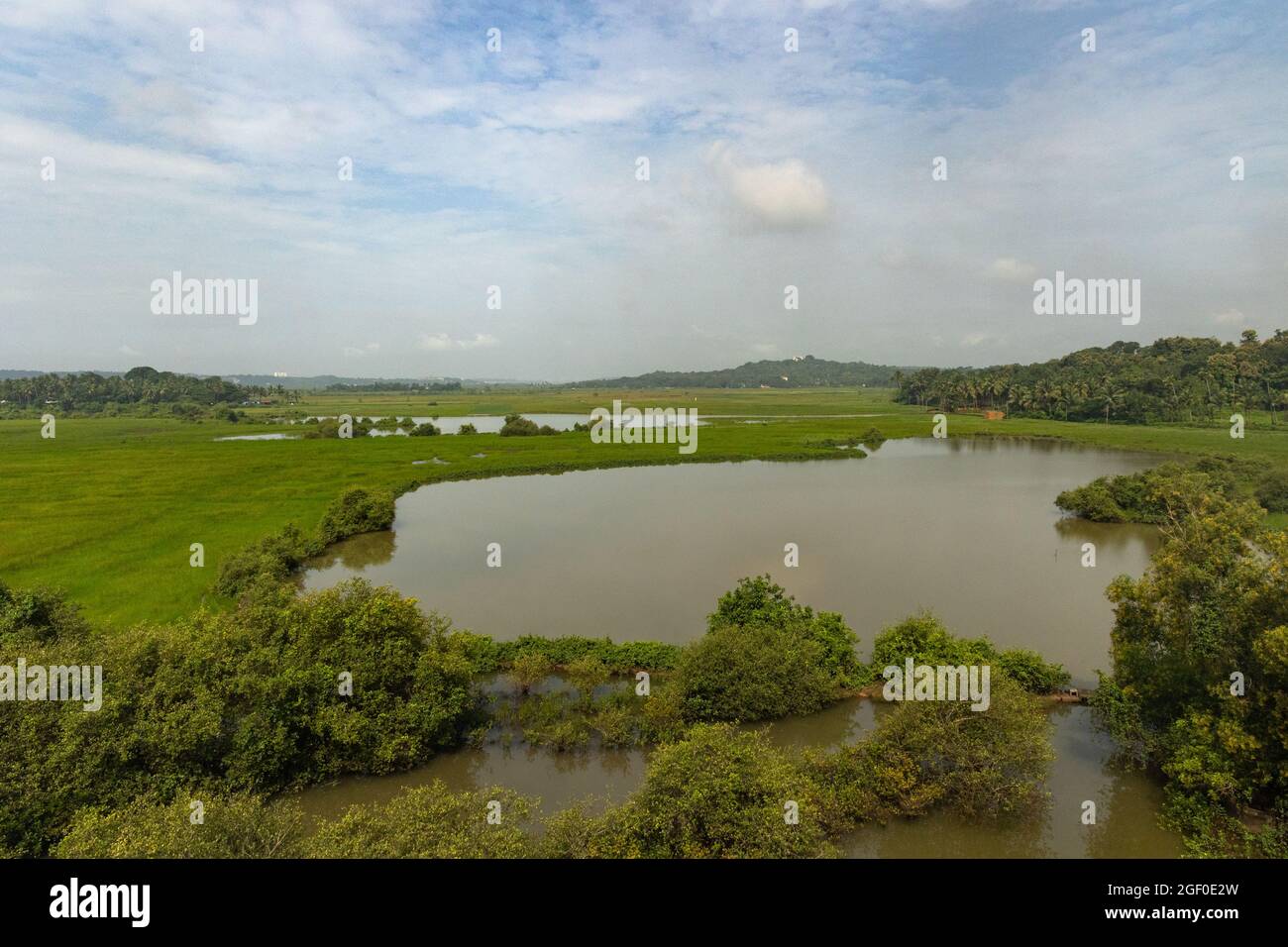 Beautiful view of Mandovi River backwaters near Divar Island as seen ...