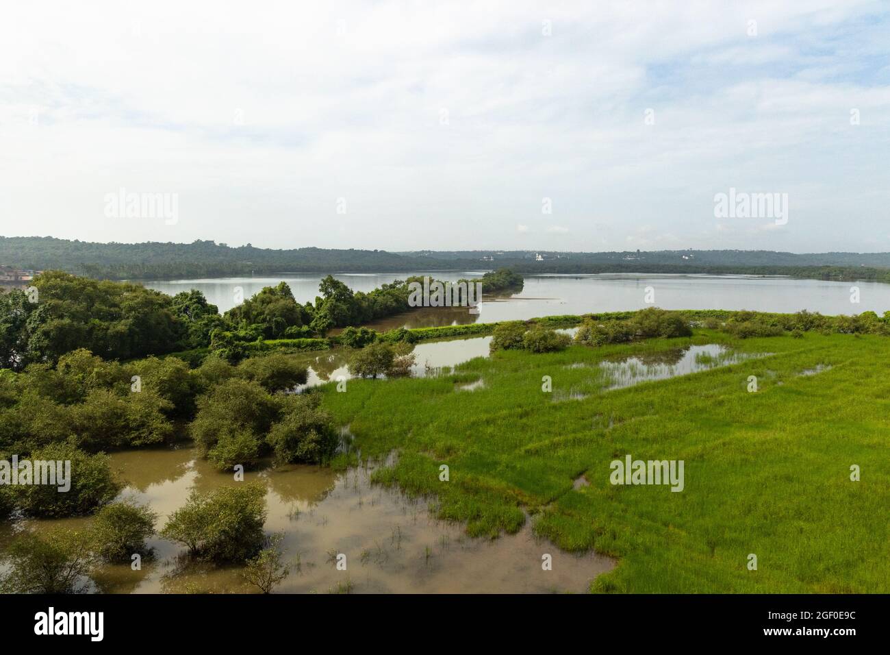 Mandovi river divar island goa hi-res stock photography and images - Alamy