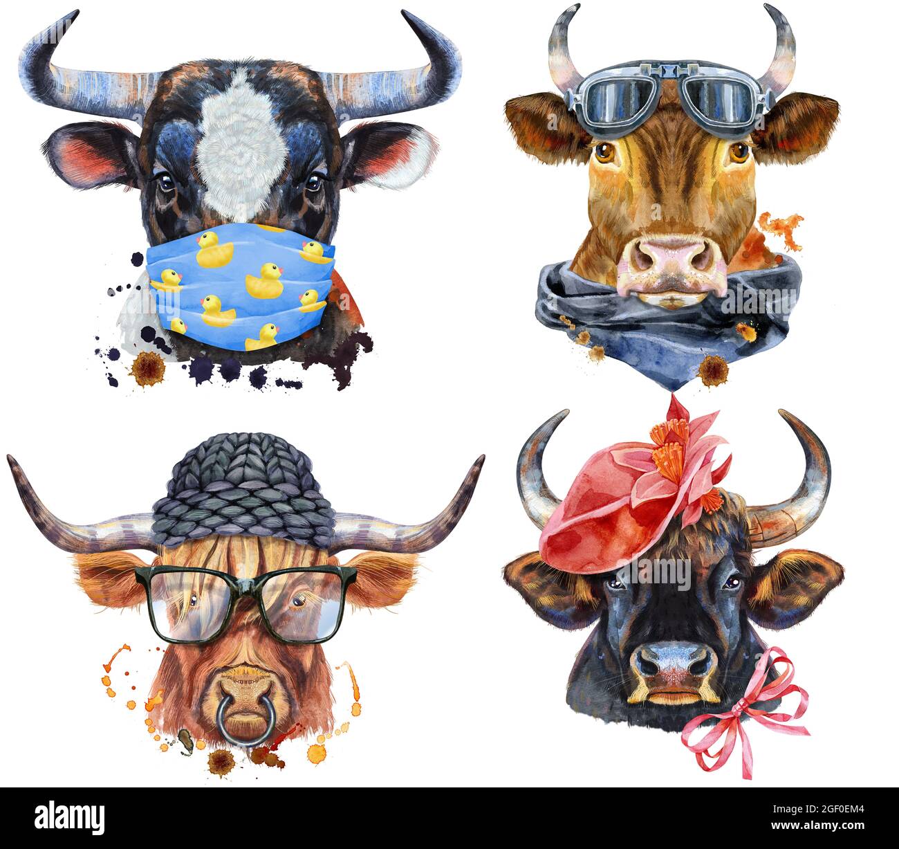 Illustration of a brown long-horned bull in chullo hat, bull in wreath ...