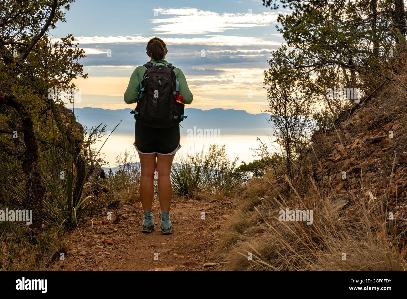Boot Canyon Trail High Resolution Stock Photography and Images - Alamy