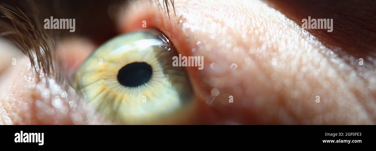 Human eye anatomy light hi-res stock photography and images - Alamy