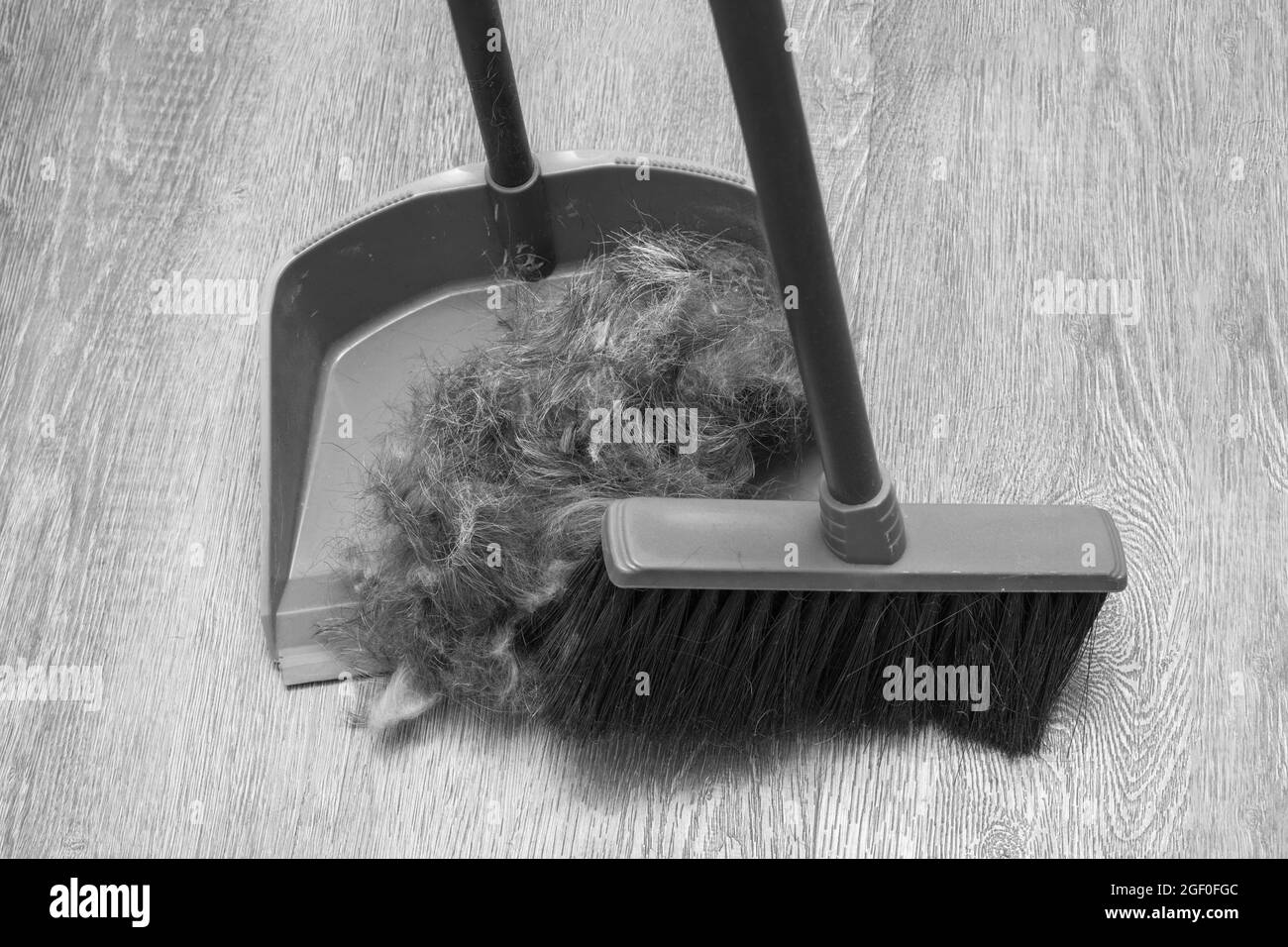 Green scoop Black and White Stock Photos & Images - Alamy