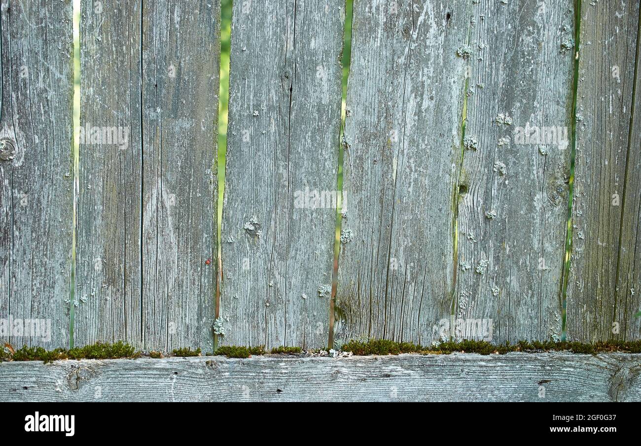 Old fence boards texture hi-res stock photography and images - Alamy