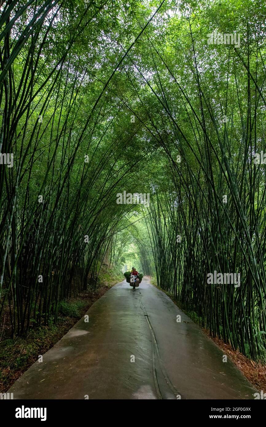 Chongqing rural revitalization Stock Photo - Alamy