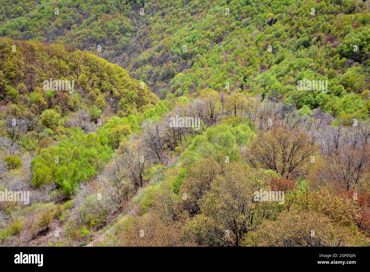 Shaanxi Shinto ridge Stock Photo - Alamy