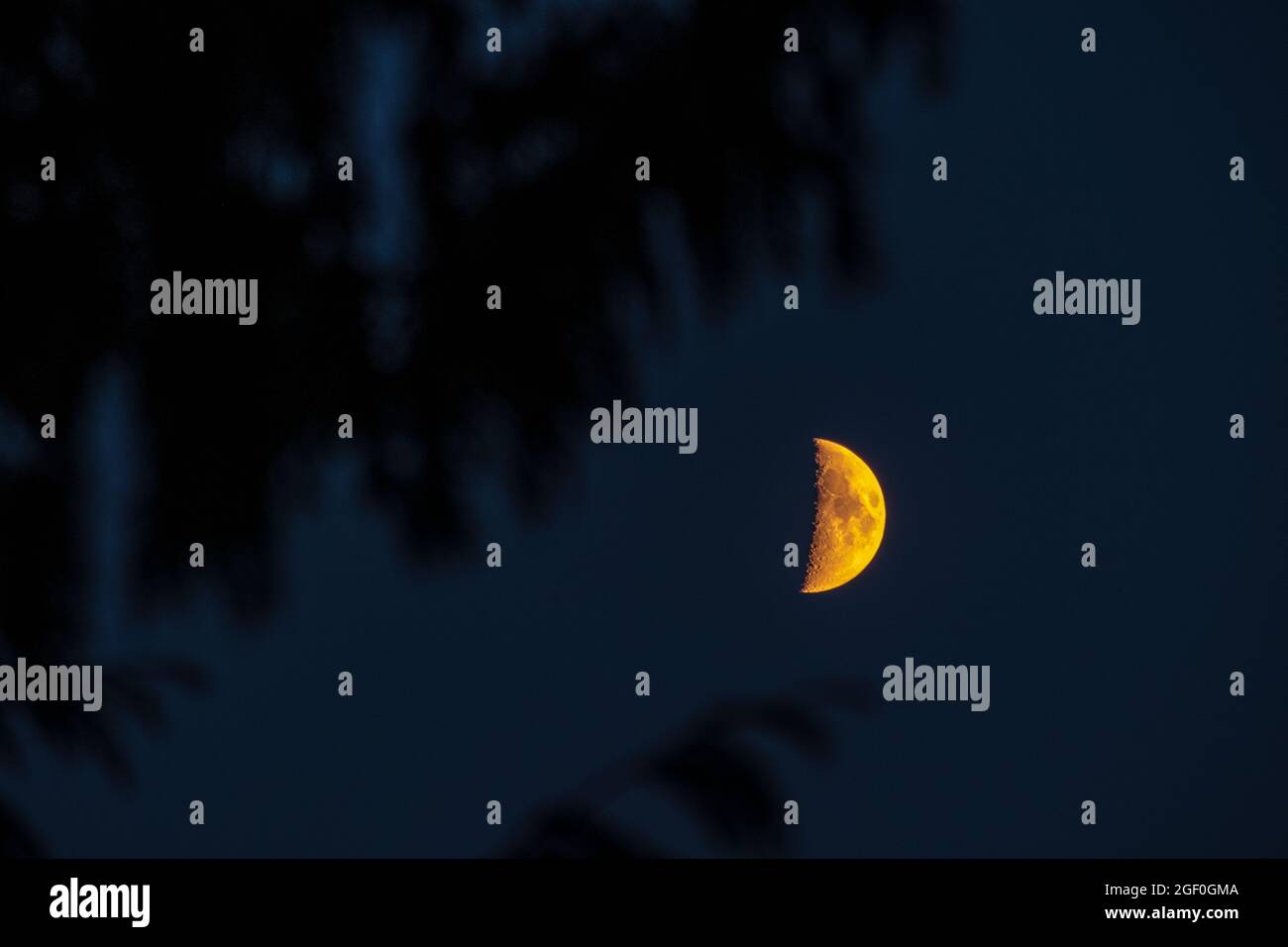 crescent moon in the night sky Stock Photo - Alamy