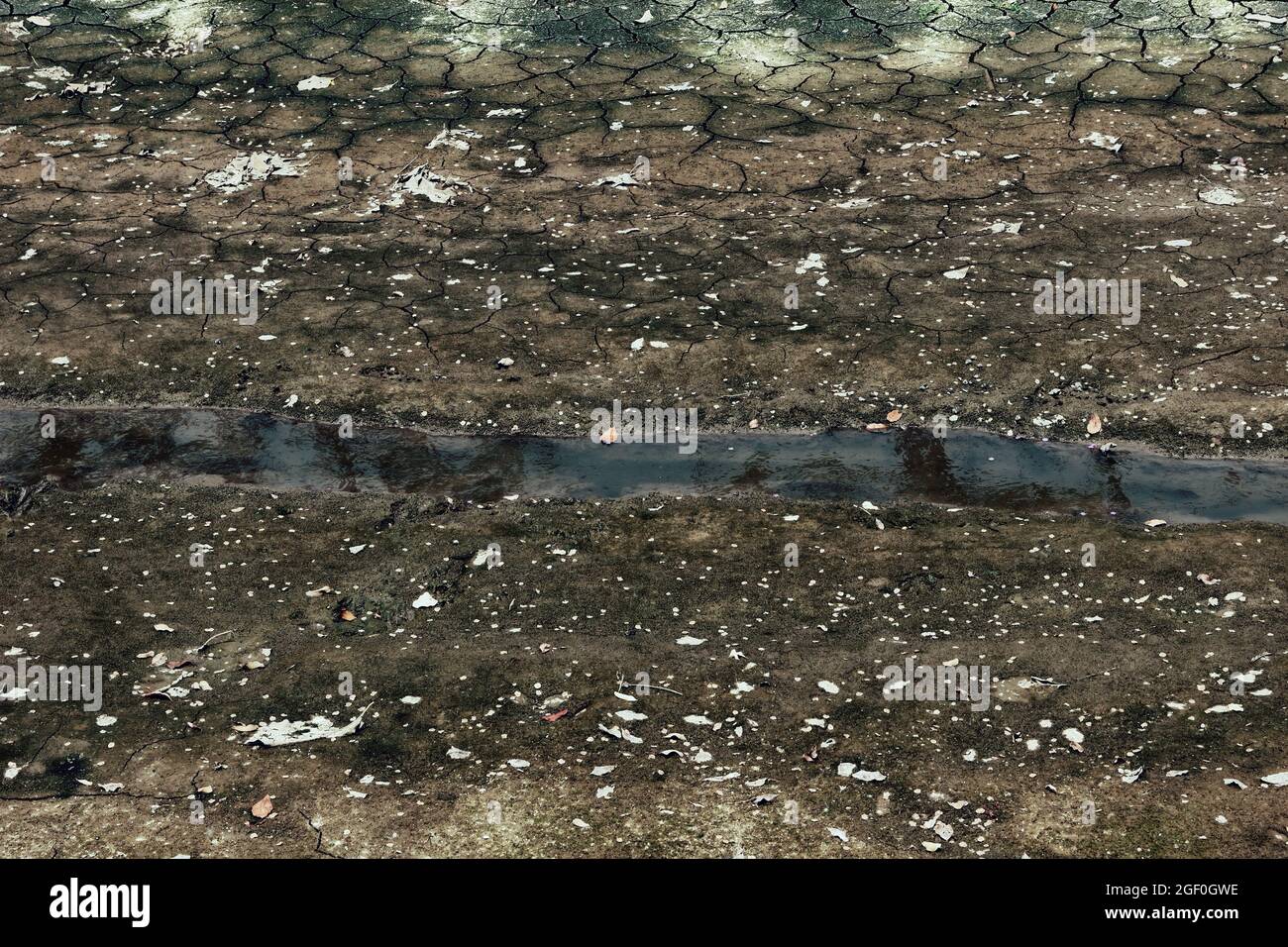 Poisoned earth. The cracked muddy ground is a poisonous stream ...