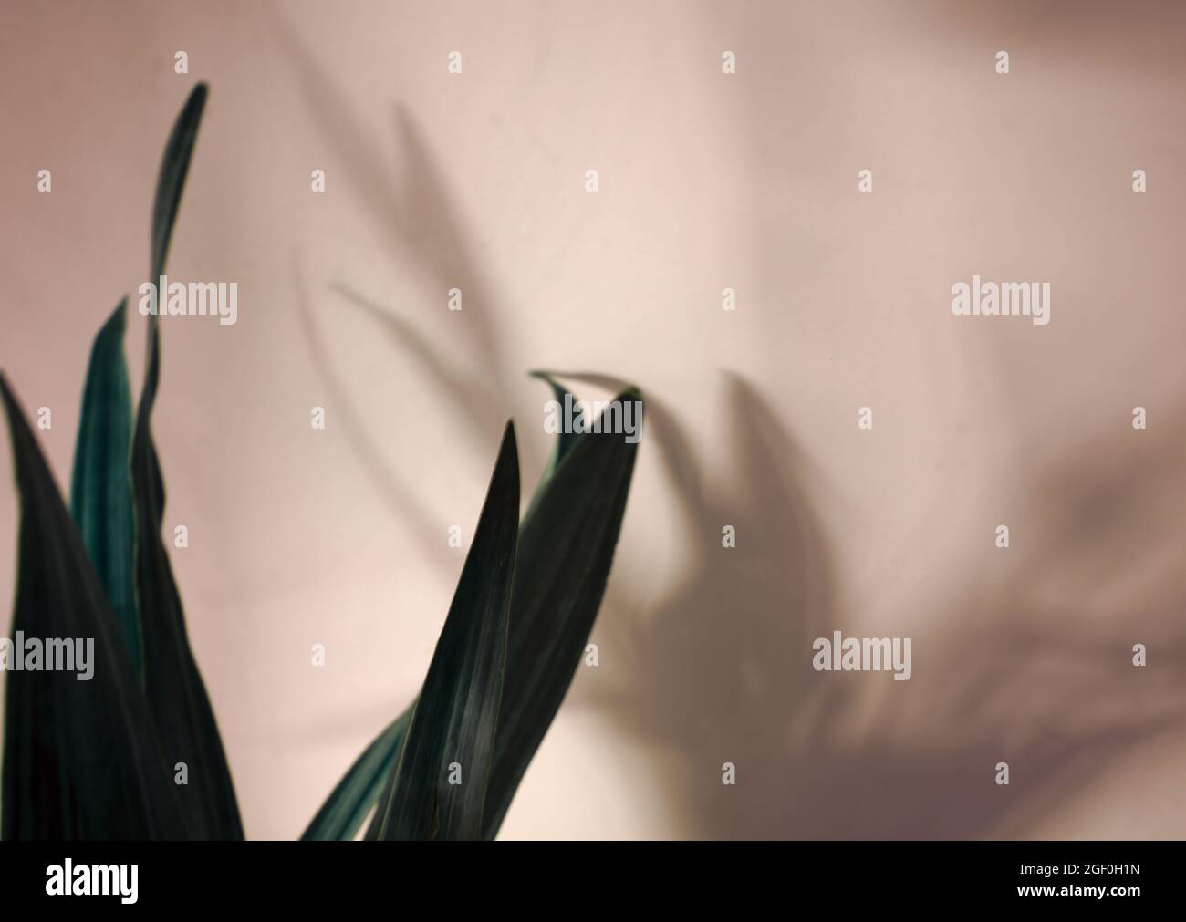 Green overlay hi-res stock photography and images - Alamy
