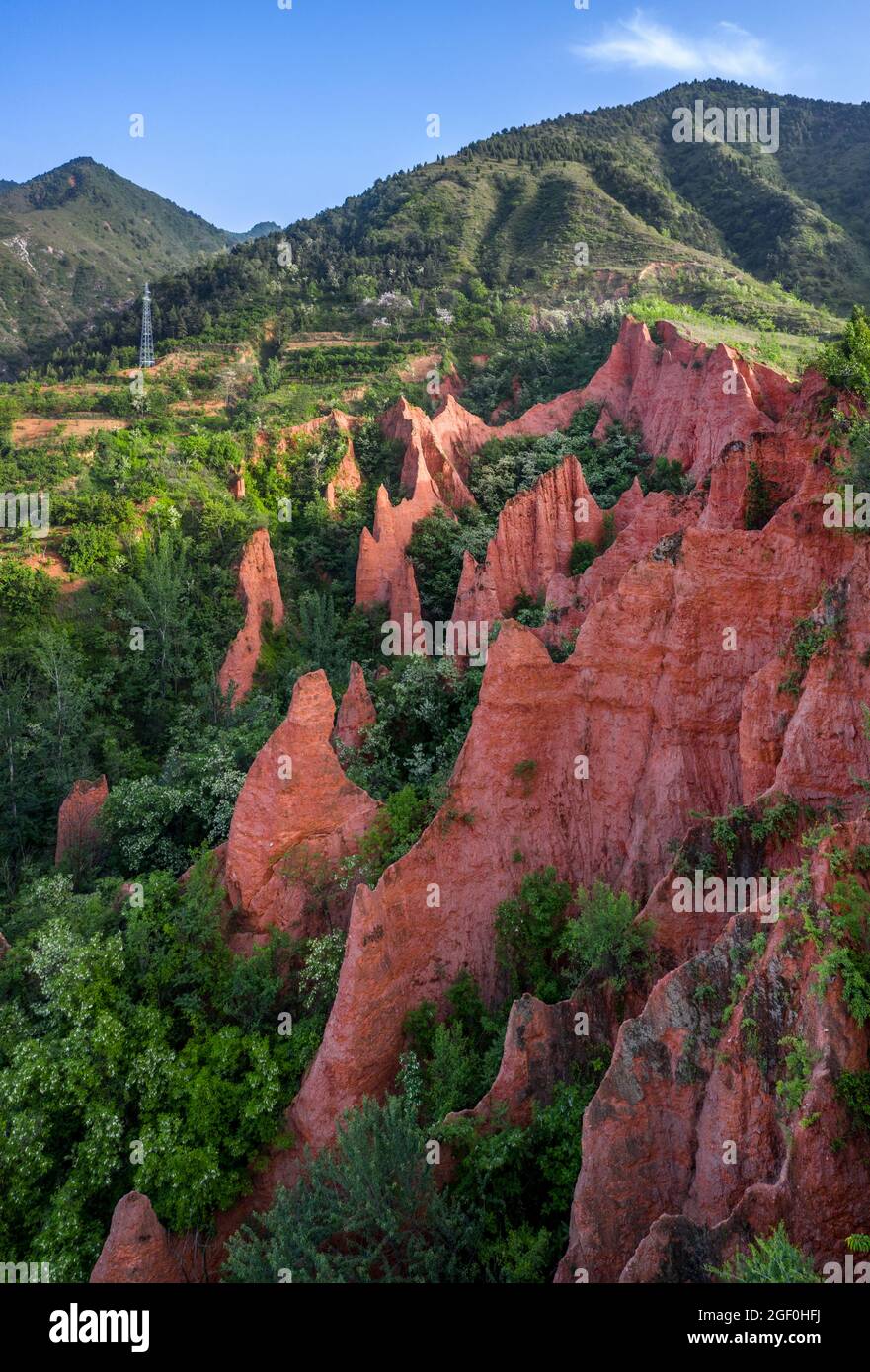 Green jungle surrounded the danxia landform landscape Stock Photo - Alamy