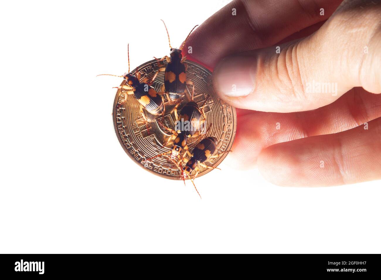 Bitcoin litecoin cryptocurrency and virtual real poison bugs ...