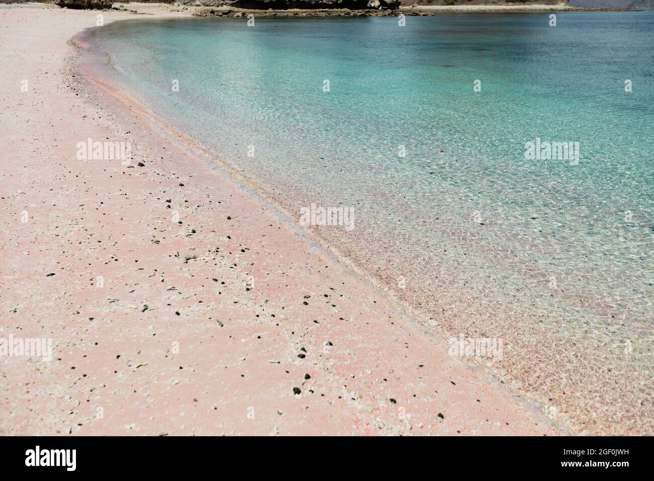 Komodo national park pink beach hi-res stock photography and images - Alamy